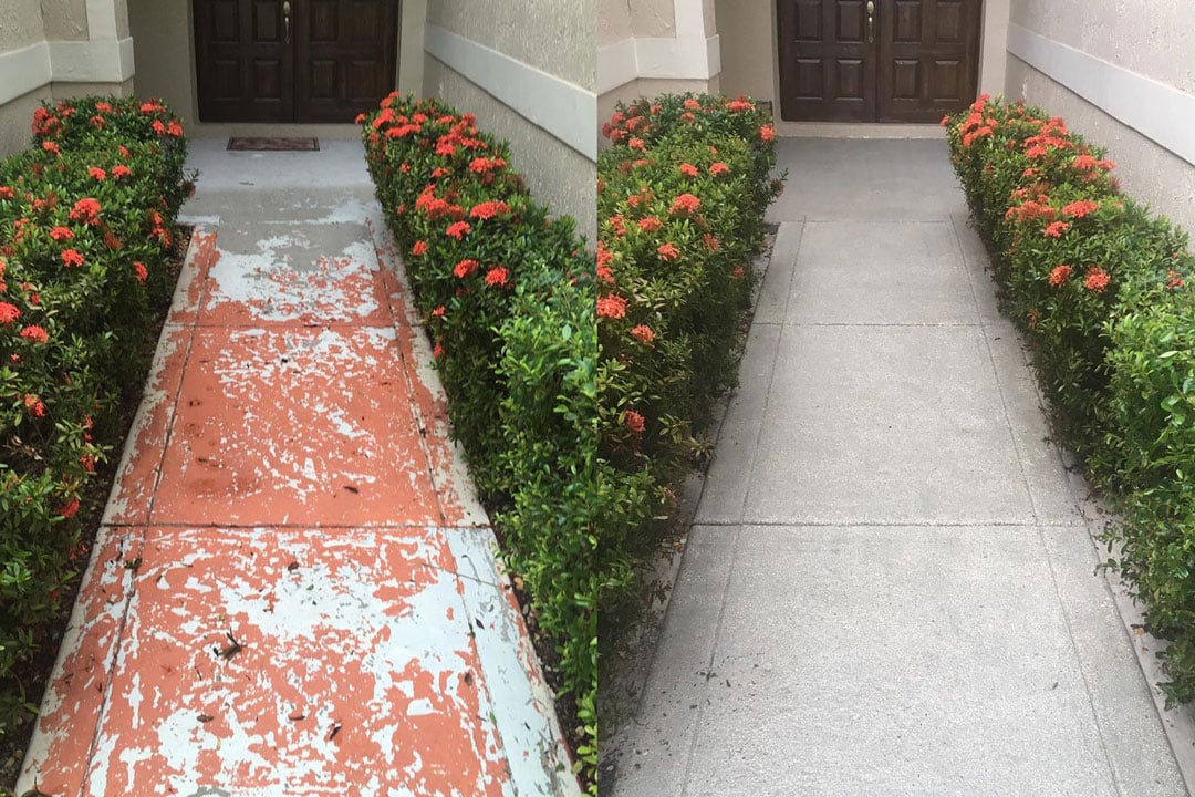 Line Stripe and Curb Paint